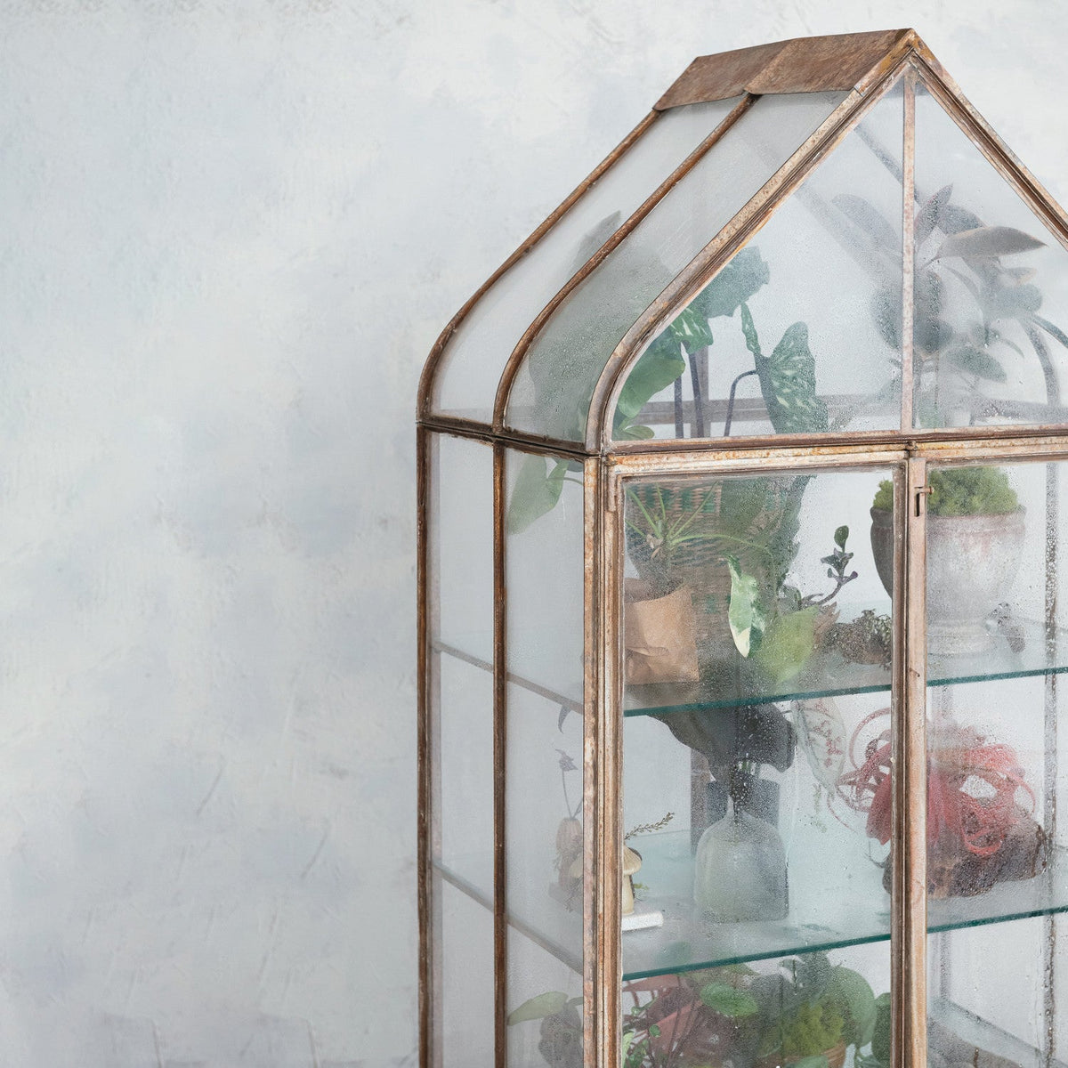Terrarium Shop – Paraíso Plant Studio
