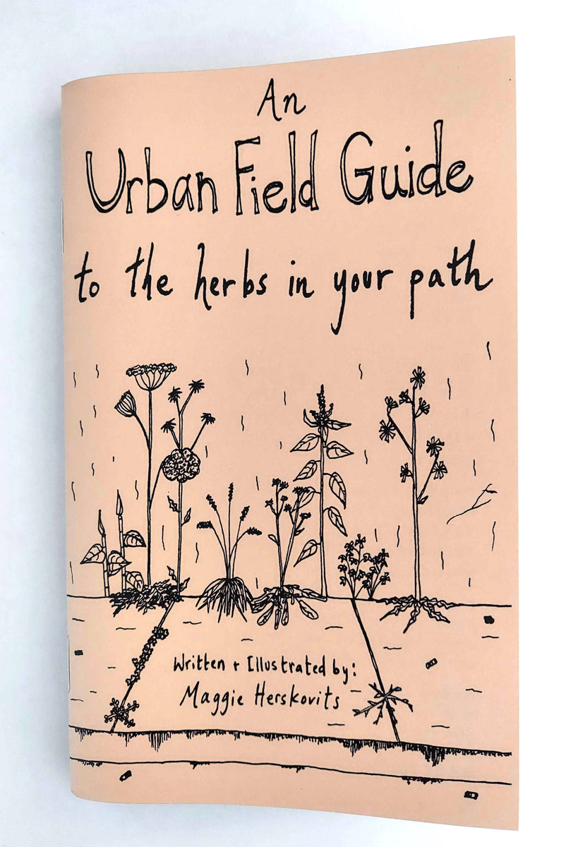 Urban Field Guide to the Herbs in Your Path (Zine) – Paraíso Plant Studio