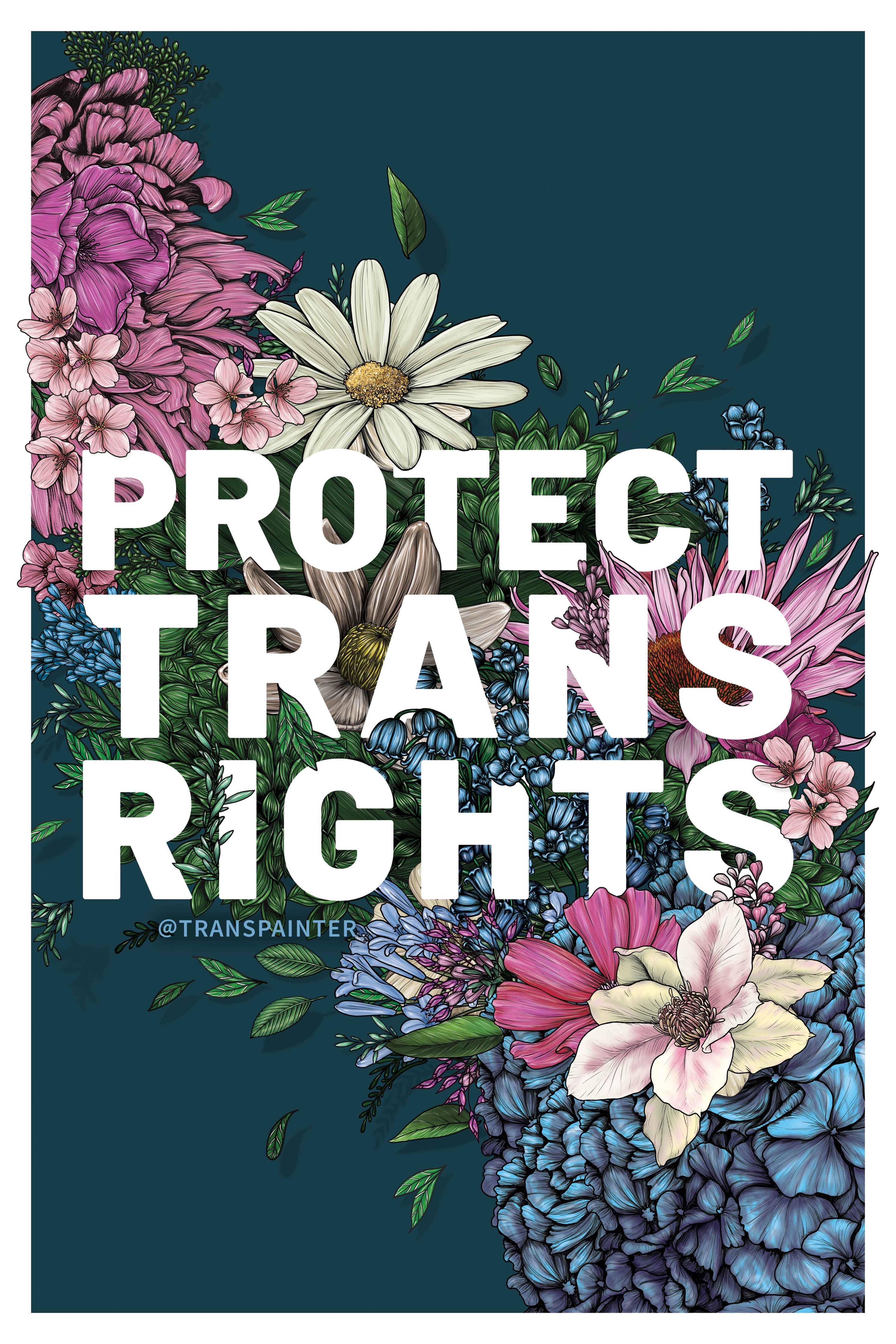 Protect Trans Rights Art Print | Transgender Rights Sign – Paraíso ...