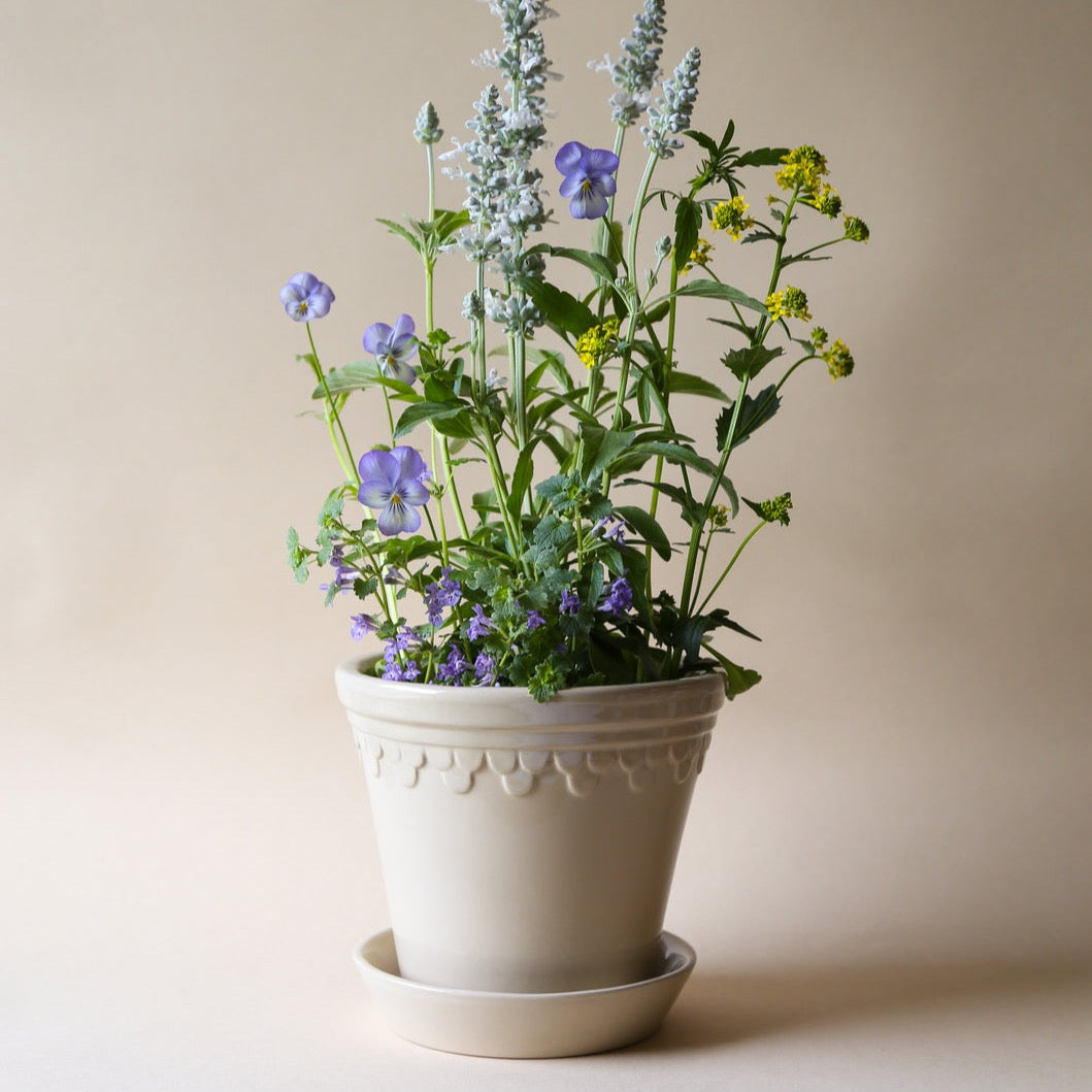 Sand Stone Glazed Castle Pot & Saucer - Bergs Potter – Paraíso Plant Studio