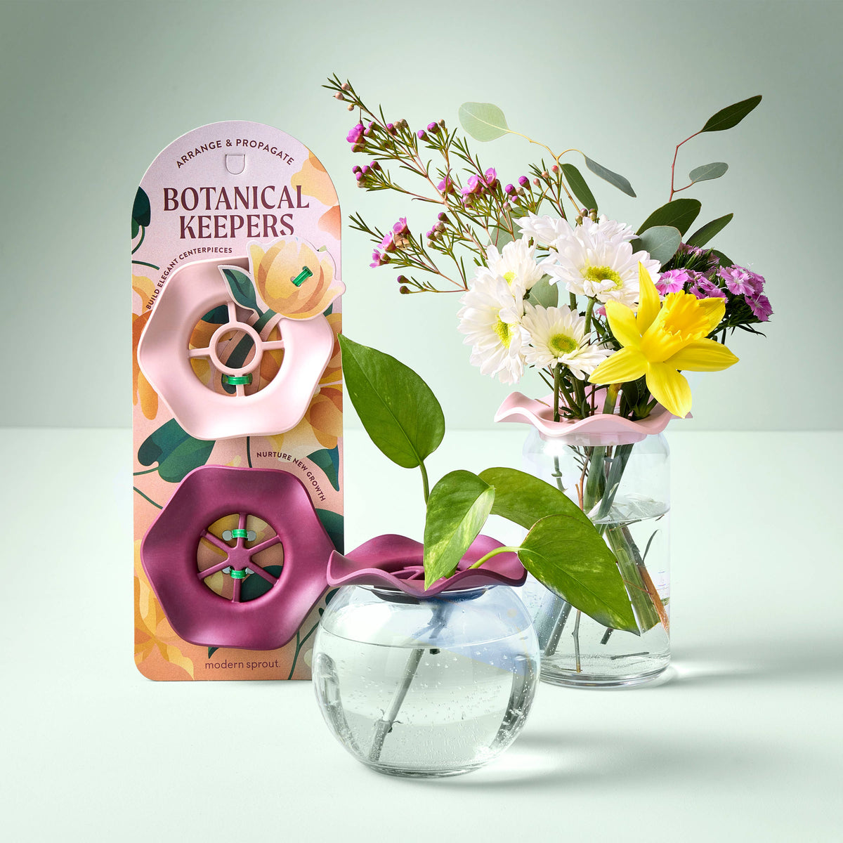 Botanical Keepers - Set of 2 – Paraíso Plant Studio