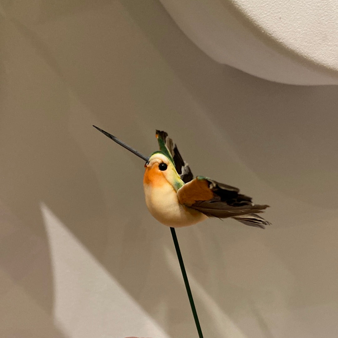 Assorted birds – Paraíso Plant Studio